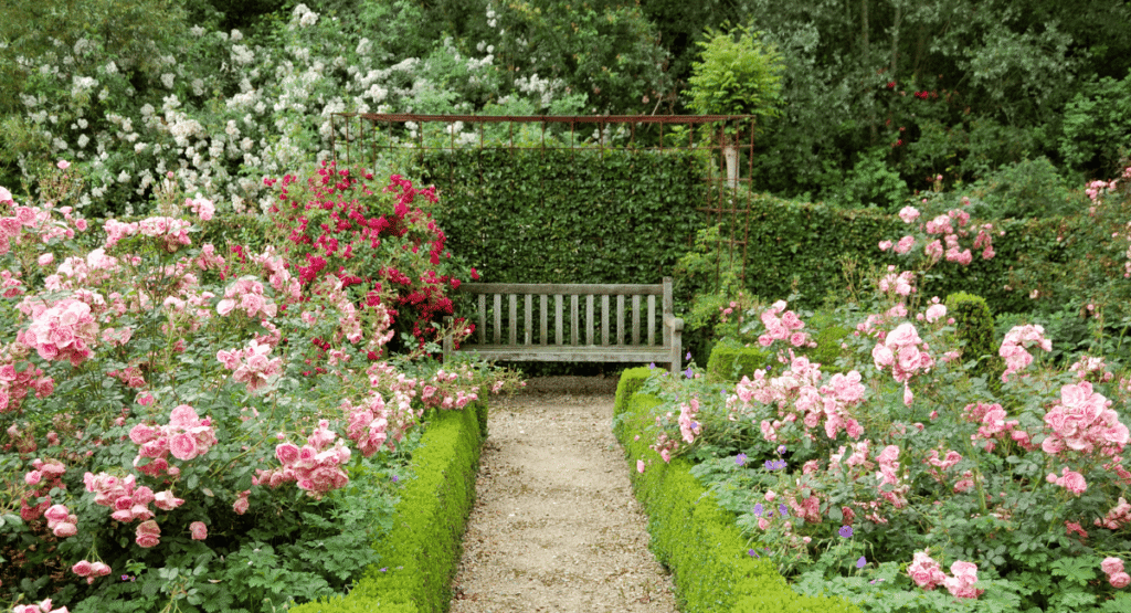 18 Books with Floral and Garden Themes – Bookmarks 'n Blankets